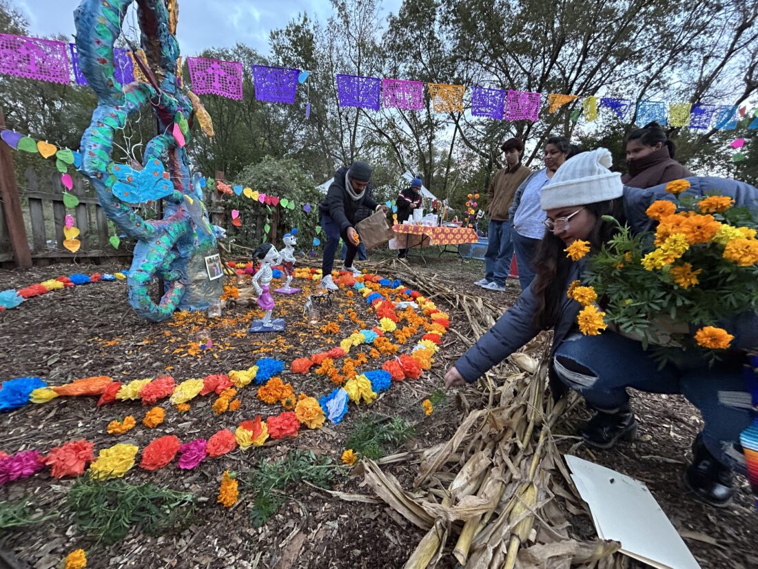 PHOTOS: Lawrence’s Dia de los Muertos celebration | News, Sports, Jobs ...
